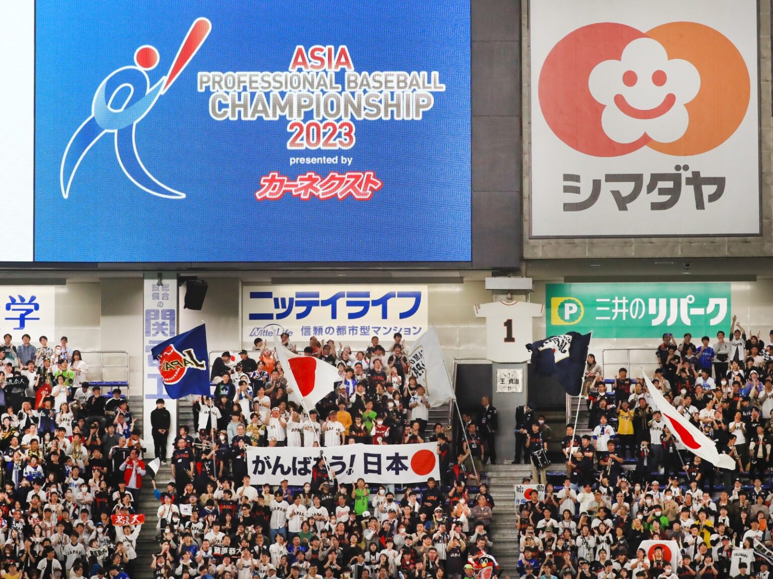 Baseball Australia